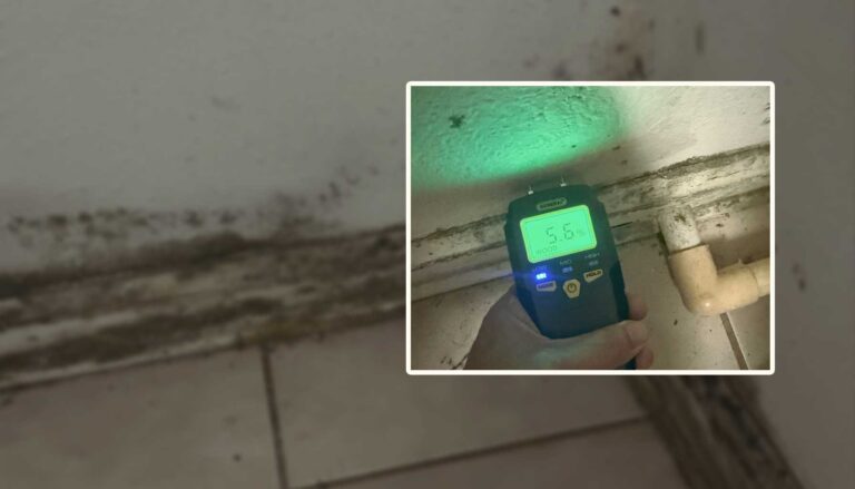 Mold Remediation - Jax Decon